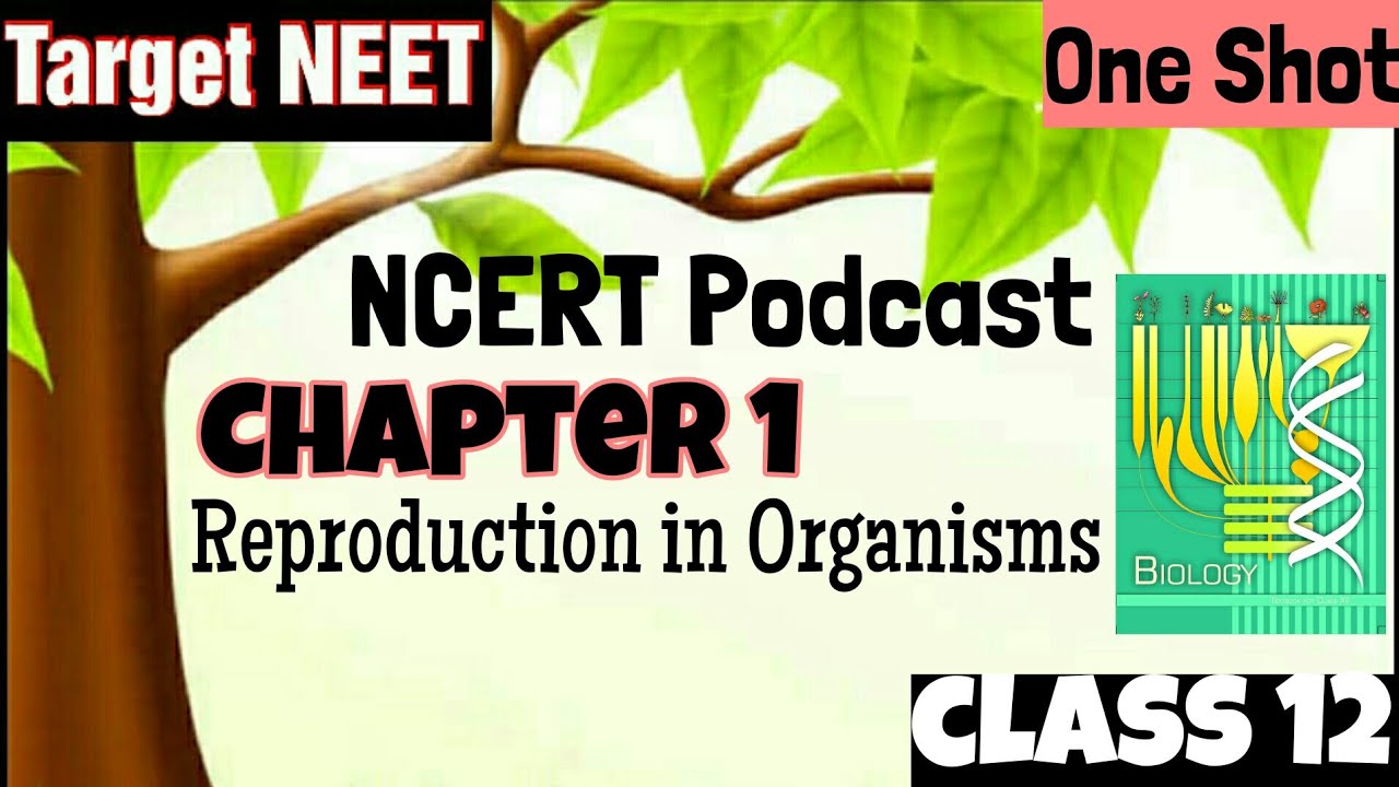 NCERT PODCAST BIOLOGY | CLASS 12 | Chapter 1 Reproduction in Organisms ...