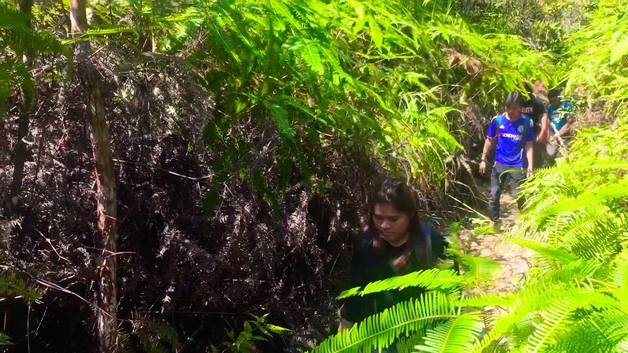 SUNGAI CHILLING Tracking,Hiking. #waterfall #youtube - YouTube