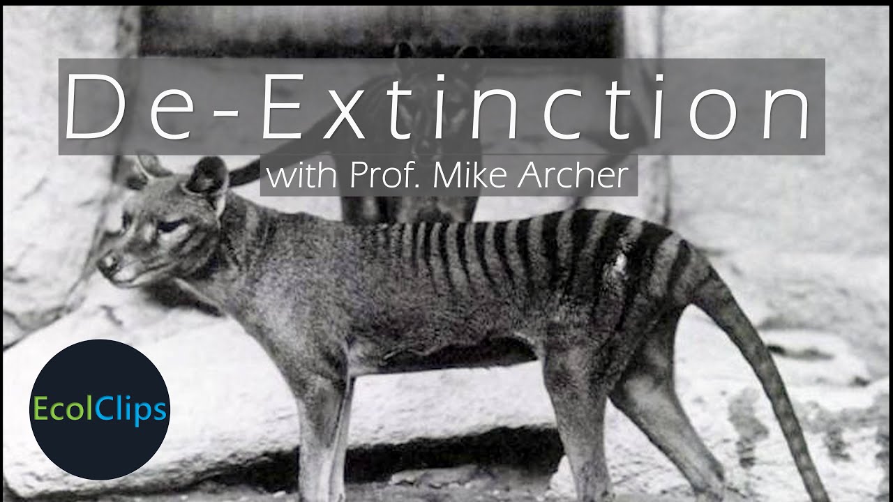 De-Extinction: The Comeback of the Tasmanian Tiger? With Prof. Mike Archer | EcolClips - YouTube