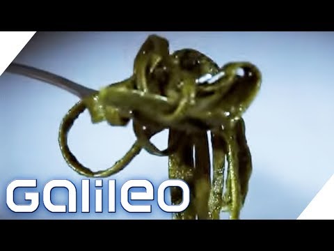 Wunder-Nudeln: Was macht die Algen-Nudeln so besonders? | Galileo | ProSieben
