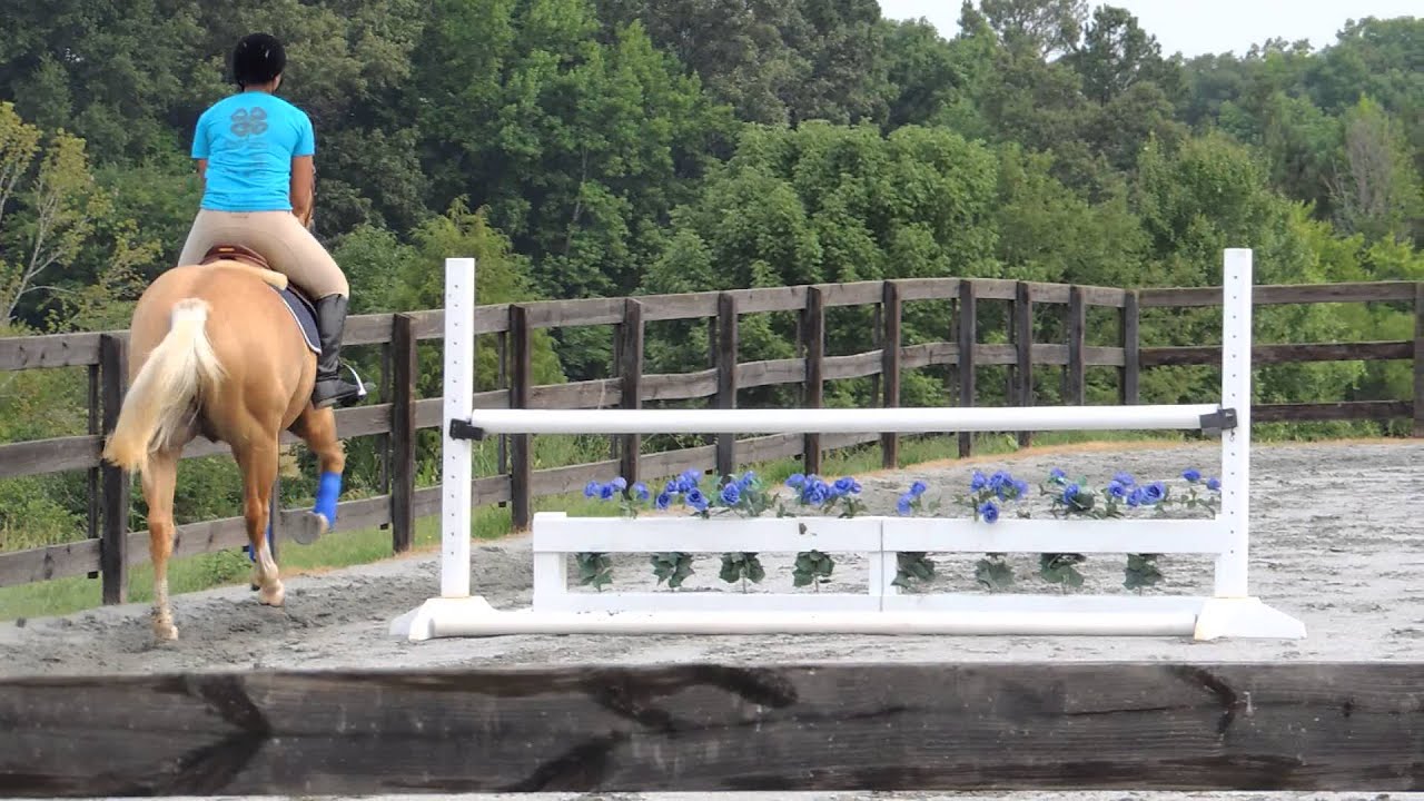 7 16 2014 Roo Cody Jump - YouTube