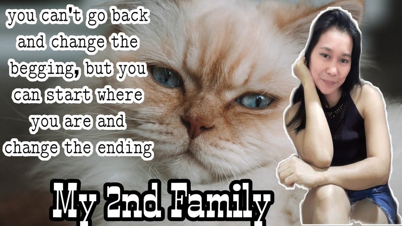 My 2nd family - YouTube