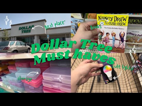 CLASSROOM MUST HAVES! Dollar Tree edition 🌳| First Grade Teacher 🍎🤞 ...