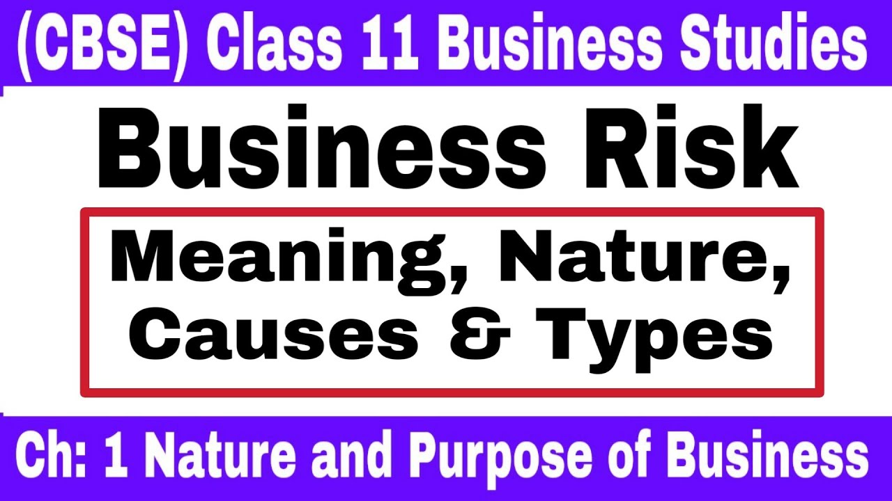 Video #11 || Business Risk Meaning, Nature, Causes & Types || Class 11 ...