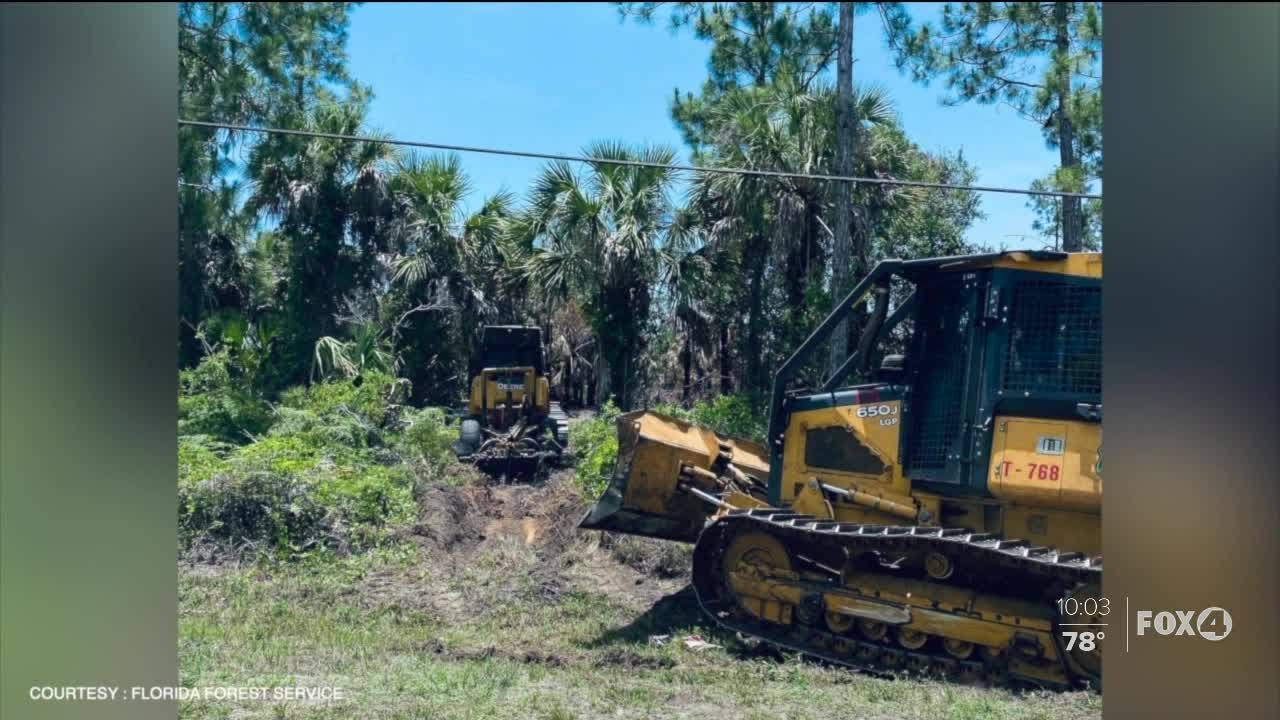 36th Avenue SE Brush Fire in Collier County is 50% contained - YouTube