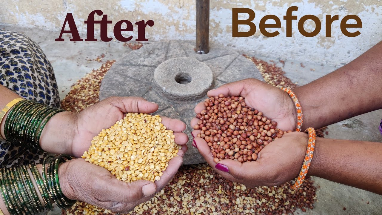 Toor Dal Making Process - Village Method - YouTube