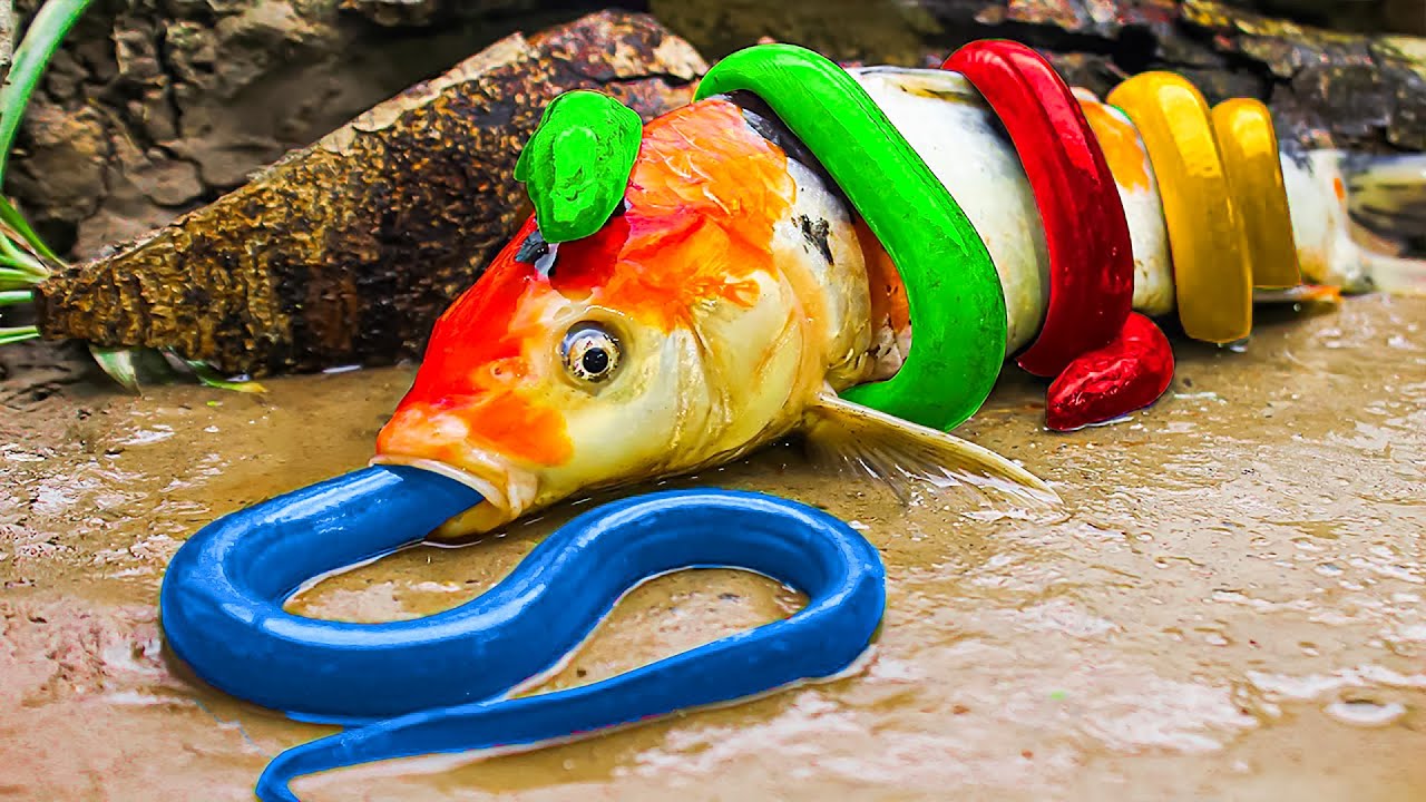 Gold Koi fish racing car caught by crab police | Primitive Cooking ...