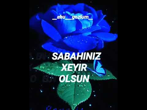 WhatsApp üçün yeni status video və mahnı 2019 mp3