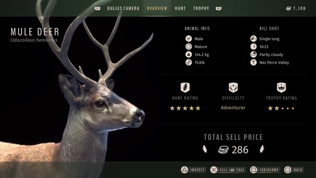 DEER HUNTING FOR SOME QUICK CASH, THE GRIND FOR $40K PART 1 - WAY OF ...
