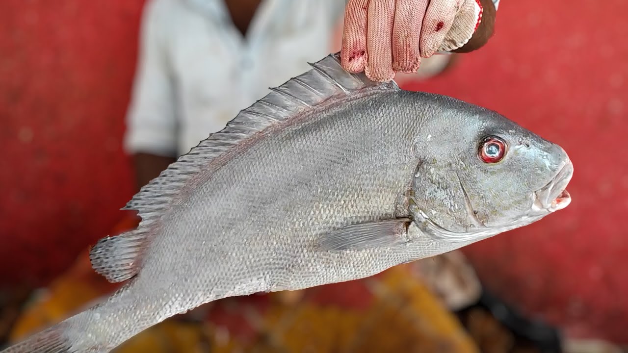 FIRE KODUVA FISH SUPER CUTTING SKILLS BY KUTTY #seafood #fishing # ...