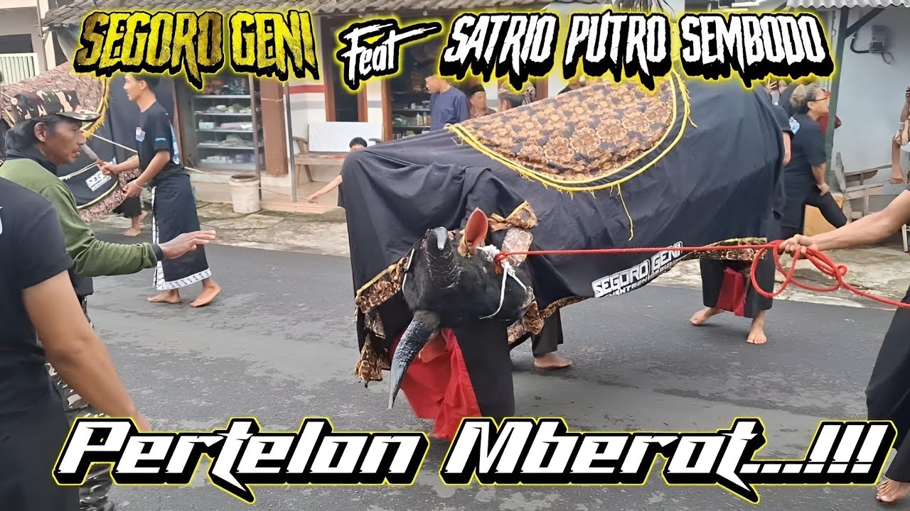SEGORO GENI feat SATRIO PUTRO SEMBODO || PERTELON MBEROOT BRINGAS ...