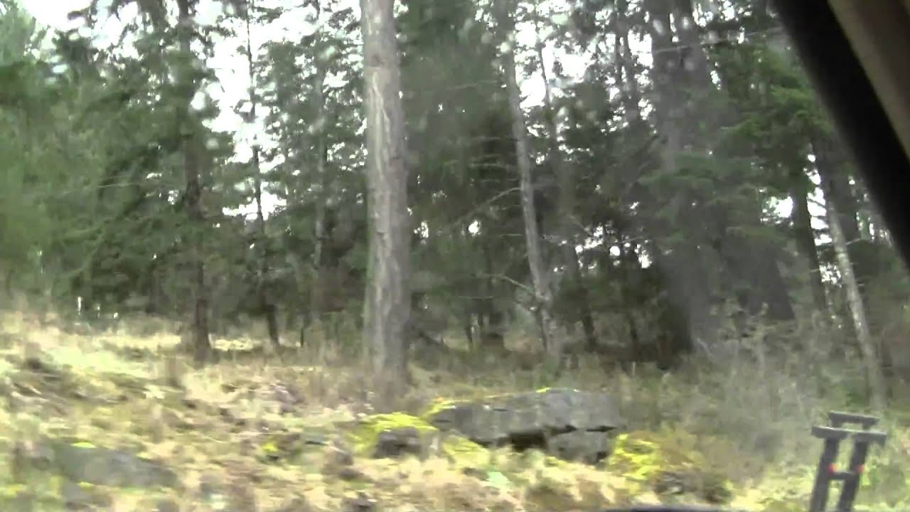 Salt Spring real estate tour Cormorant Cres on Channel Ridge - YouTube