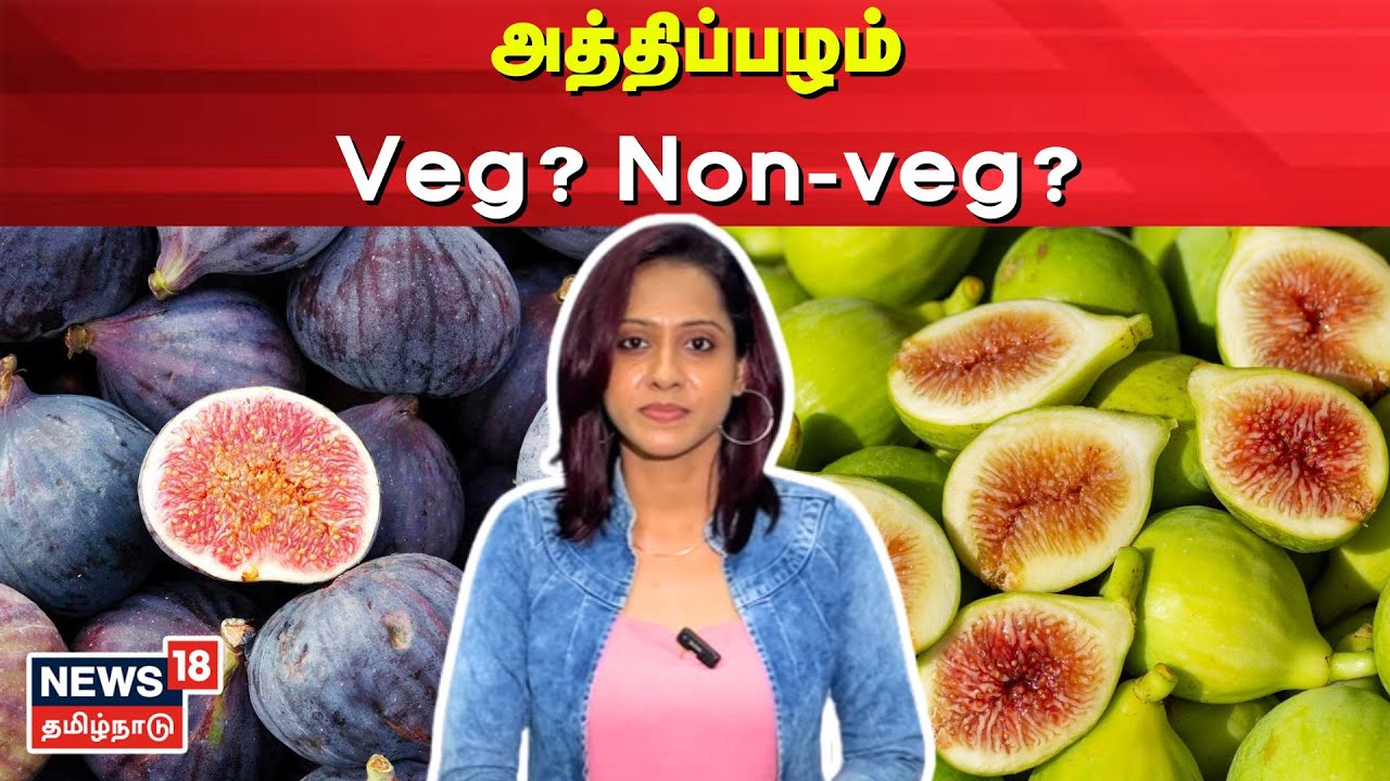 அத்திப்பழம் Veg?, Non-veg? | Fig Fruit | Athipalam | N18V - YouTube