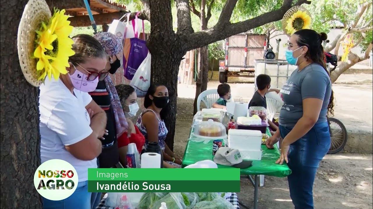 Nosso Agro Programa Mulheres Em Campo Capacita Produtoras Rurais