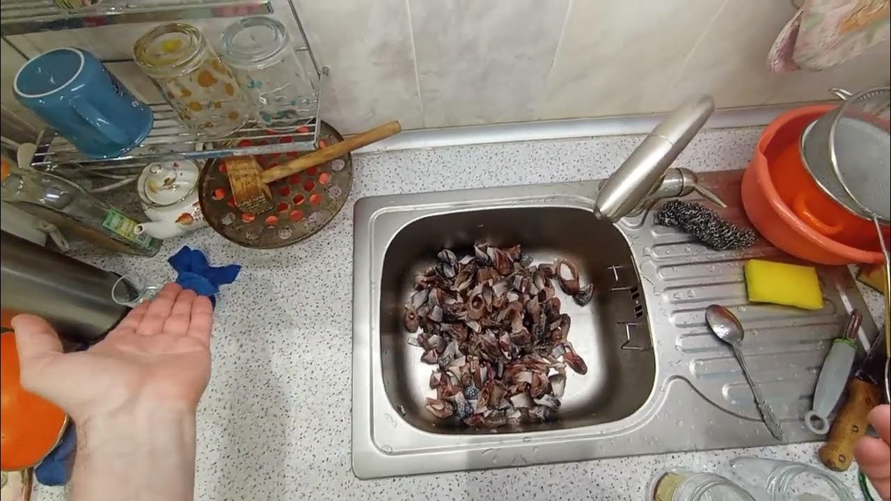 Консервы из карася без автоклава! - YouTube