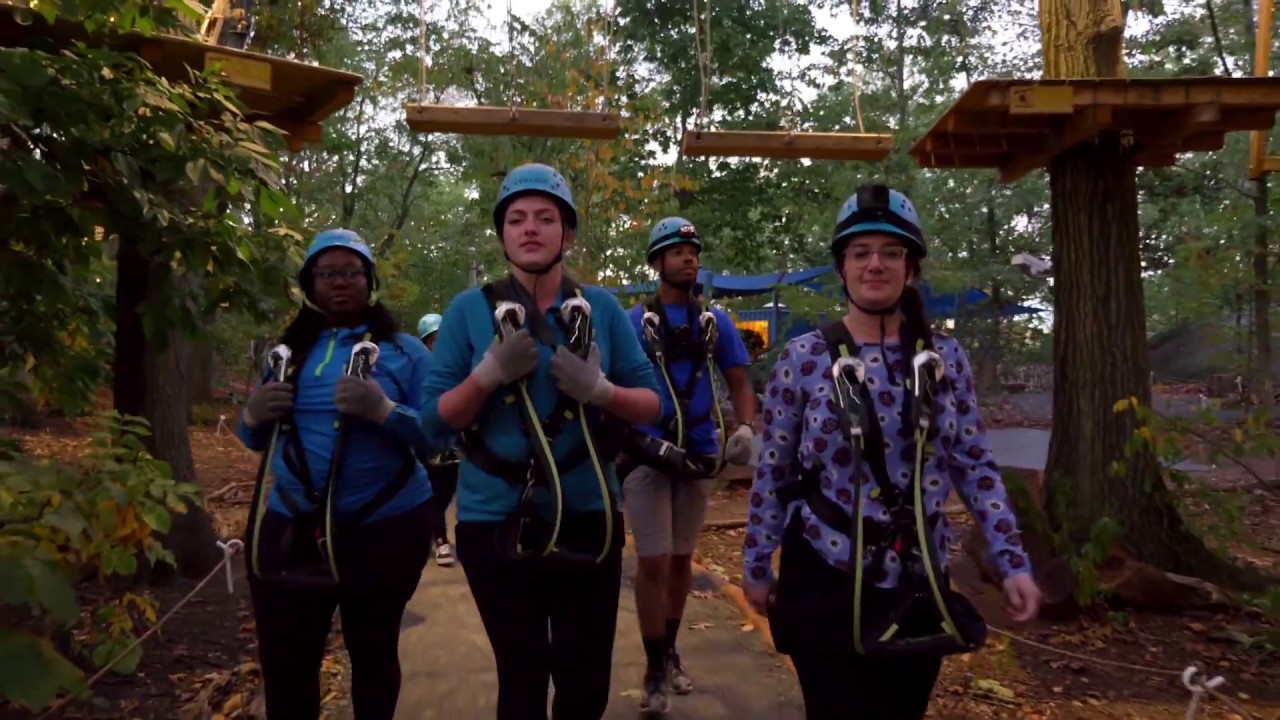 Night Climb and Zip | Bronx Zoo Treetop Adventure - YouTube