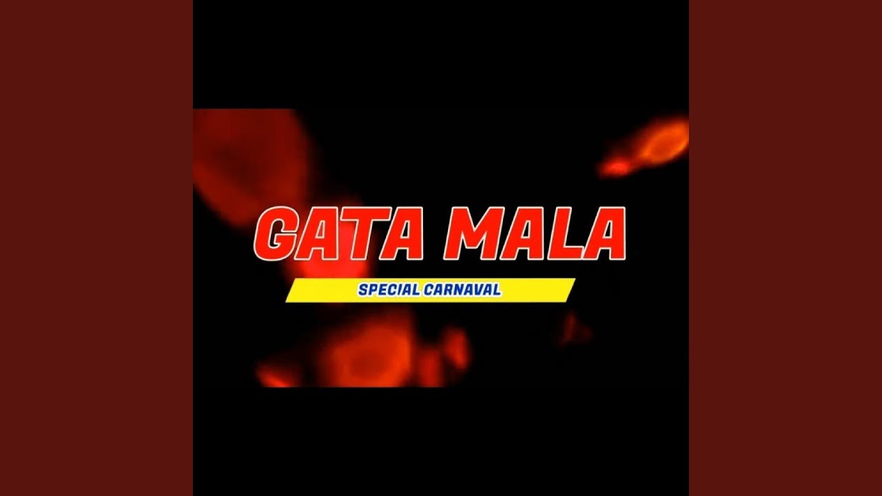 Gata Mala (feat. Kevin ZH) (Version Turreo) - YouTube