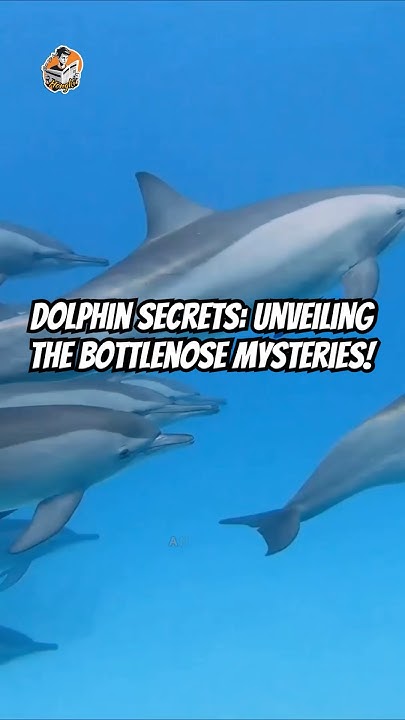Dolphin Secrets: Unveiling the Bottlenose Mysteries! #bottlenosedolphin #smartanimals # ...