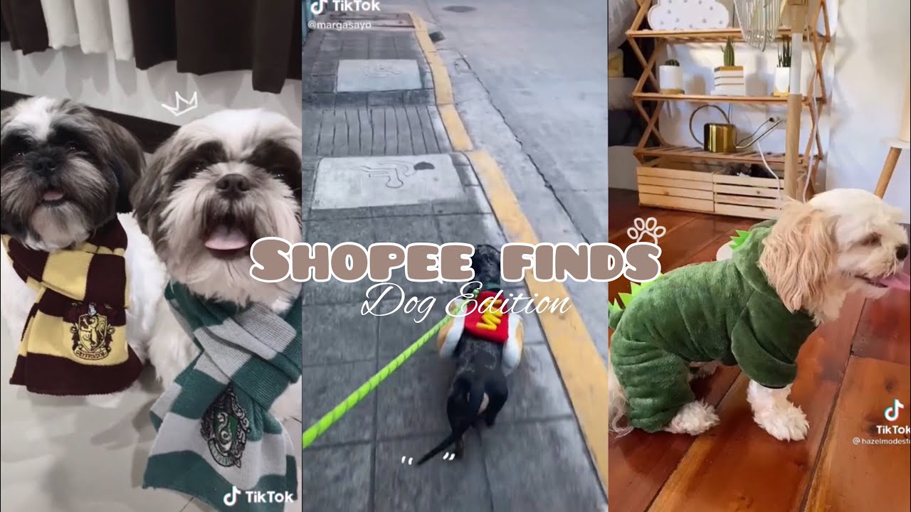 Shopee Finds DOG EDITION (fur babies) 🌻 - YouTube