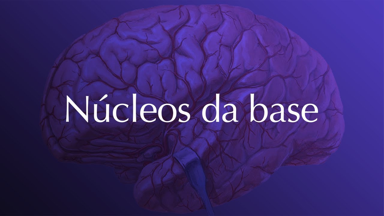 Núcleos Da Base Funções - LIBRAIN