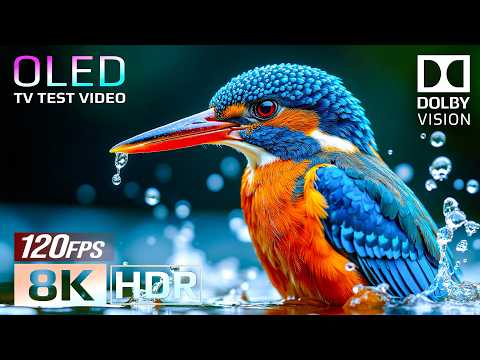 Impossible Nature Animals | Oled Hdr Demo | Dolby Vision 60Fps (Tv Testi̇)