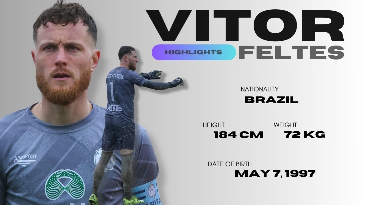 Vitor Feltes ️ Highlights 23/24 - YouTube