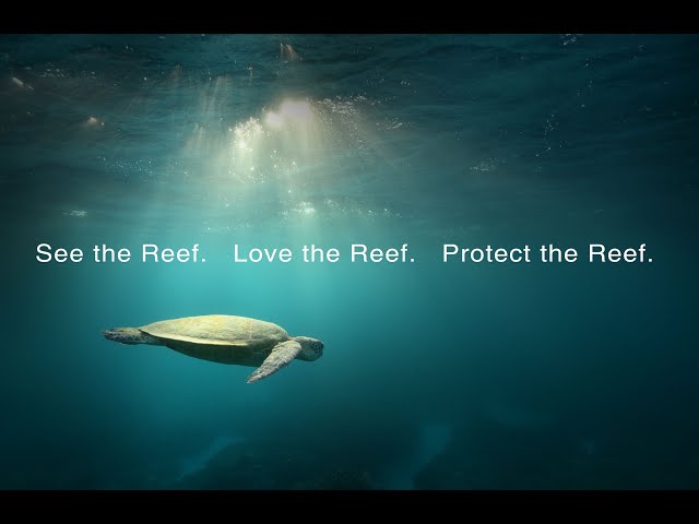 Reef Quotes Coral Reefs Sustain Wildlife