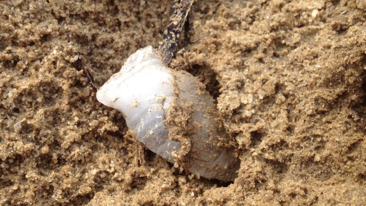 PERFECT Smokey-Vein Quartz Arrowhead! ~ 447 Artifact Find! June 2016 ...