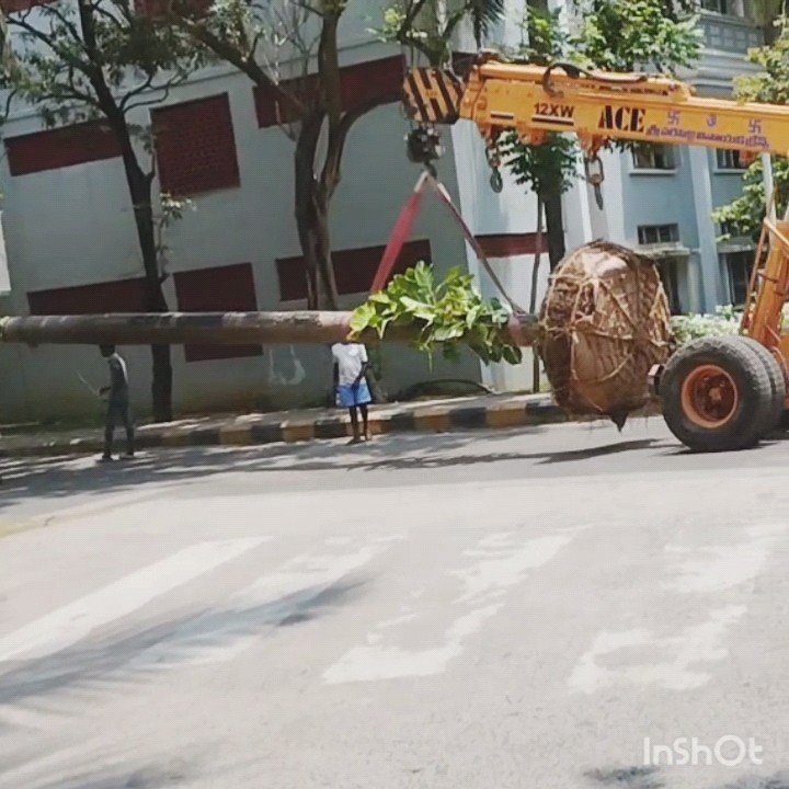 Giant tree transportation and plantation#tree #gardening - YouTube