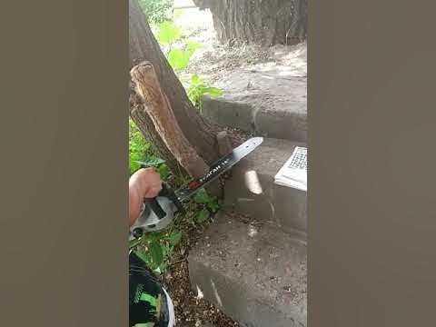 пила ураган# пилит# электропила# - YouTube