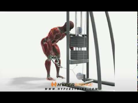 Exercise Videos- Bent-over Row -- Cable - YouTube