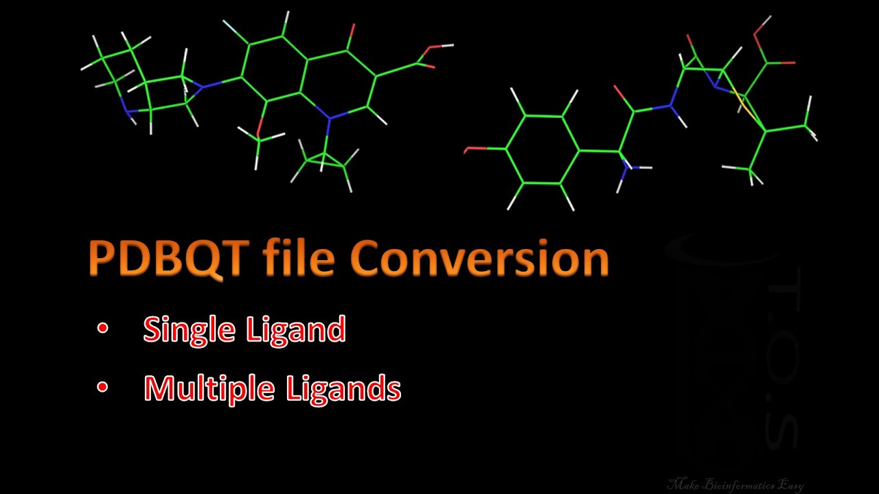 PDBQT File Conversion for AutoDock - YouTube