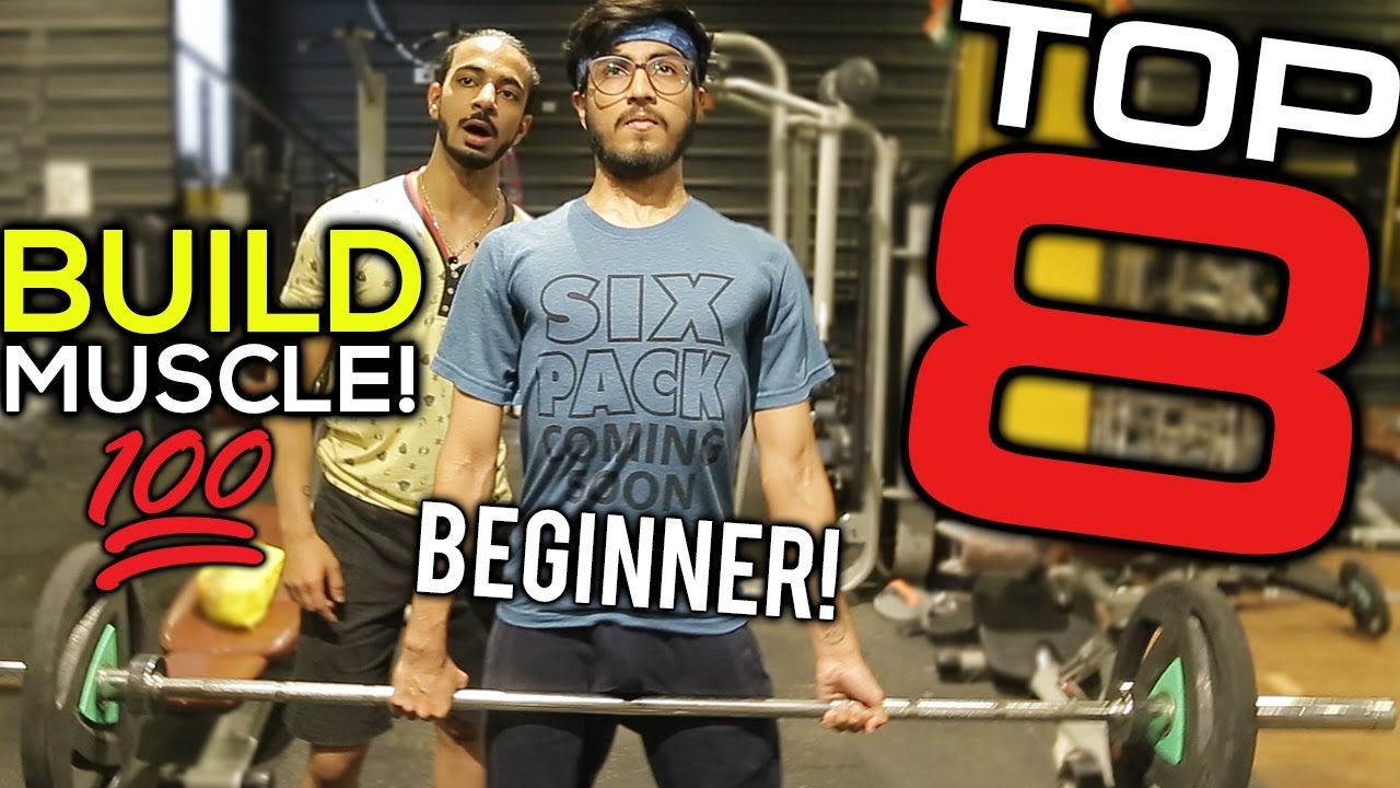 Top 8 Exercises For BEGINNERS (BUILD MUSCLE, LOSE FAT!) | AESTHETICALLY ...