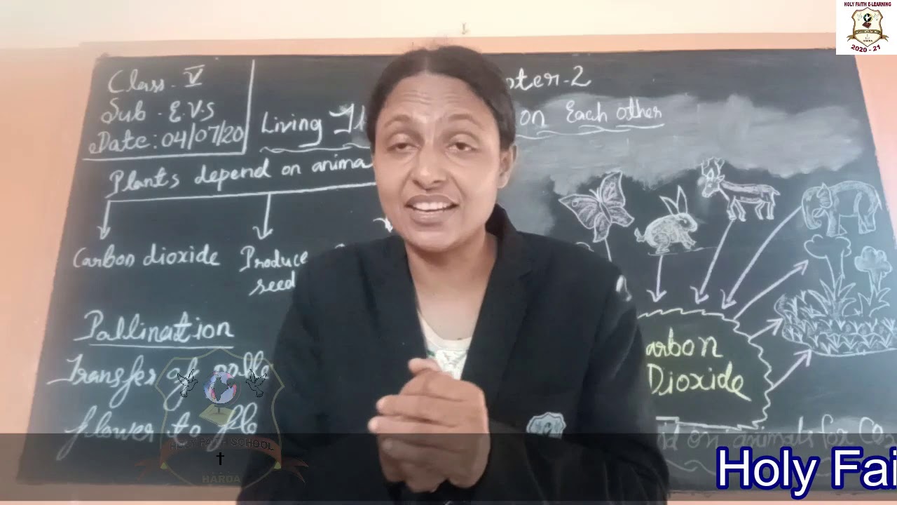 CLASS 5TH EVS YouTube class-5th-evs-youtube