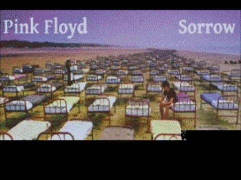 Pink Floyd - Sorrow (karaoke)