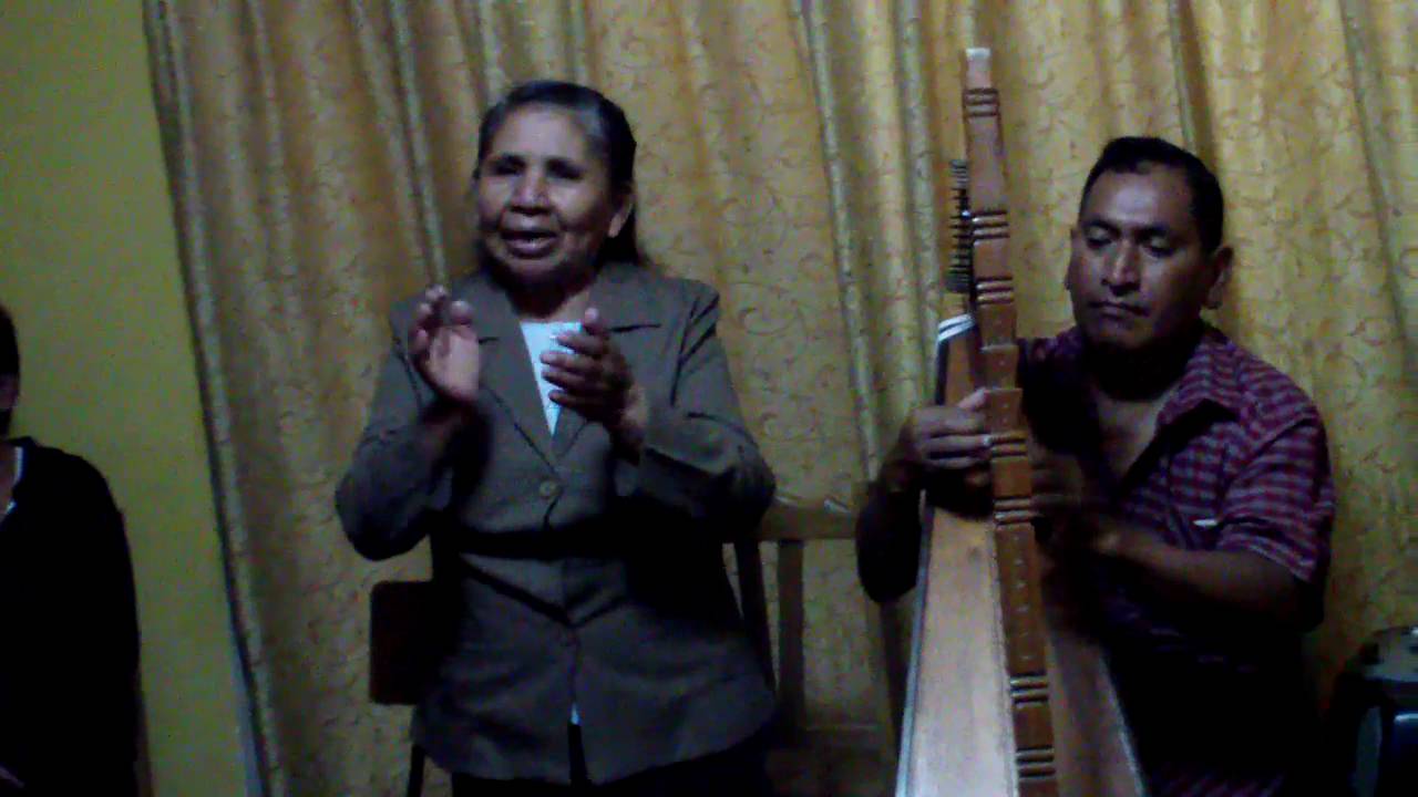 mira las aves como alaban - YouTube