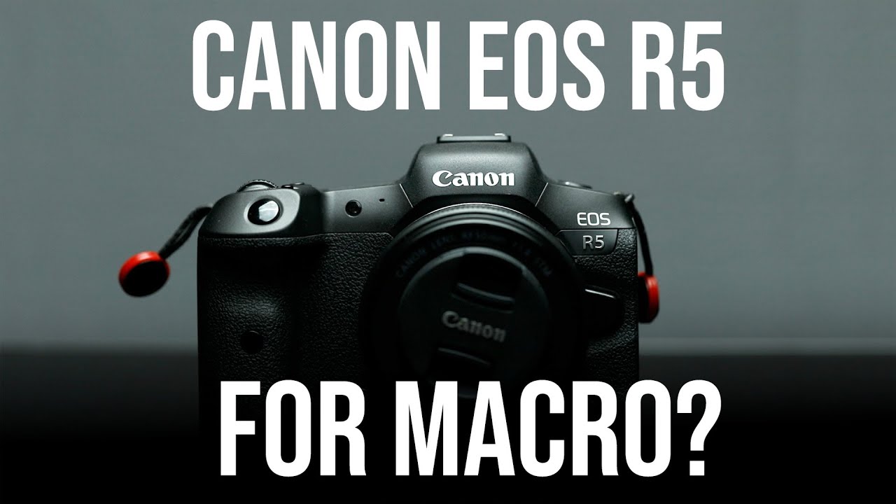 Why I bought a Canon EOS R5 for macro photography - YouTube