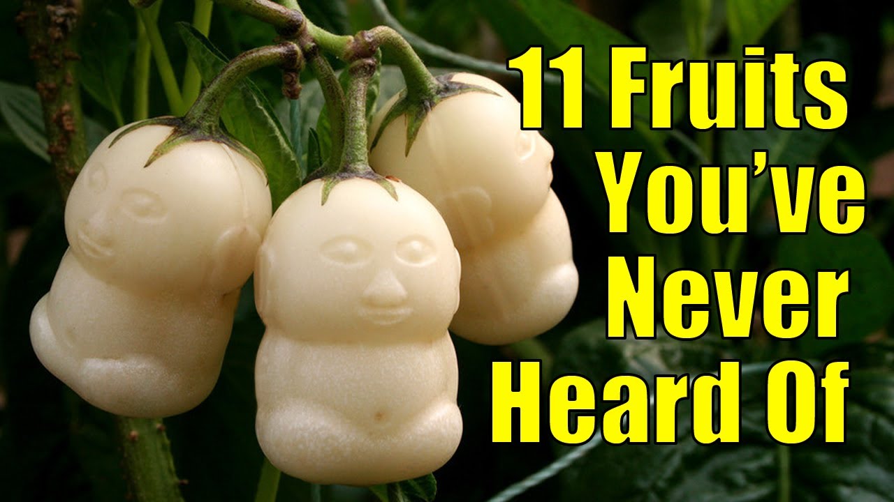 11 Fruits You've Never Heard Of - YouTube