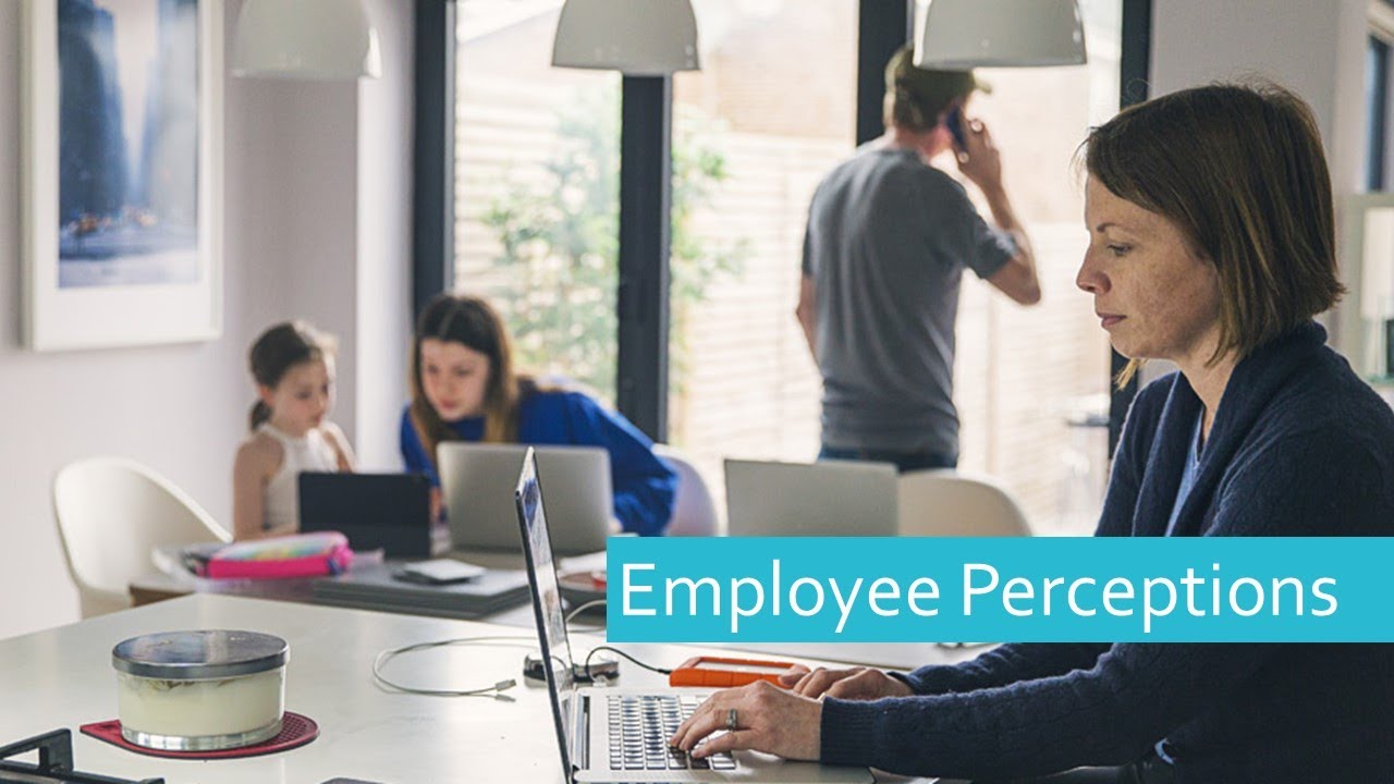 Employee Perceptions - YouTube