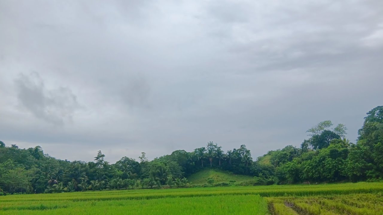 naiibang tanawin sa urban side ng bukirin #buhayprobinsiya ...