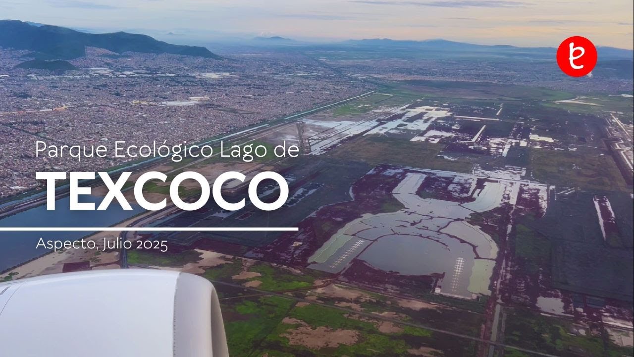 Así luce el Parque Ecológico Lago de Texcoco, julio 2025 | www.edemx ...