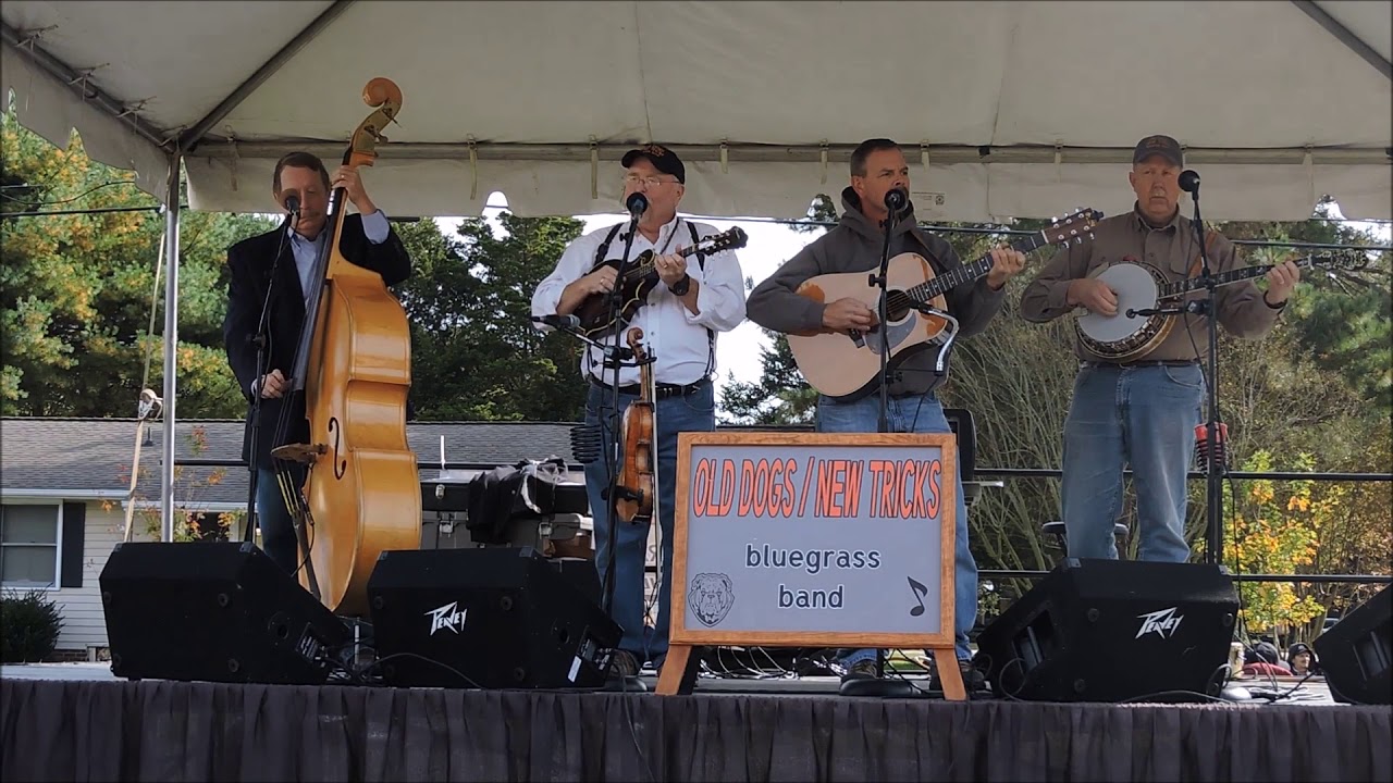 OLD DOGS NEW TRICKS BLUEGRASS BAND I'M OVER YOU - YouTube