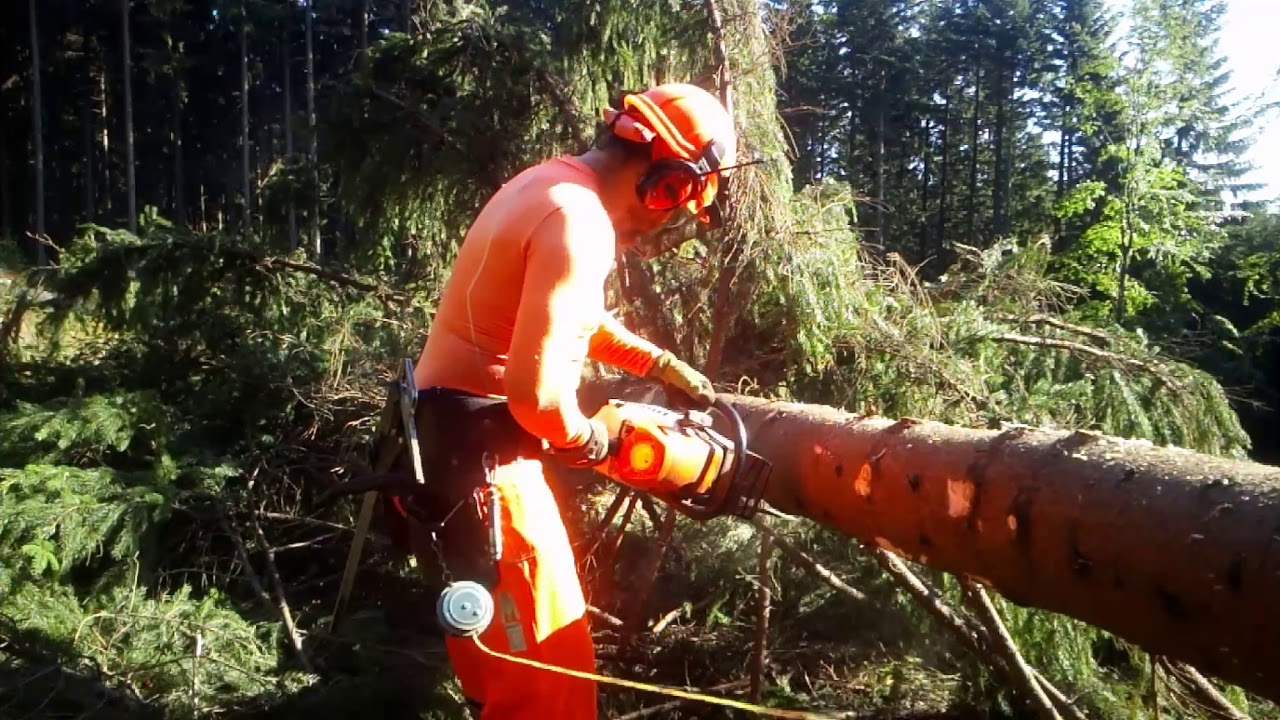 Working in forest, 280-2019, Im wald arbeiten, Práce v lese 🇨🇿 - YouTube