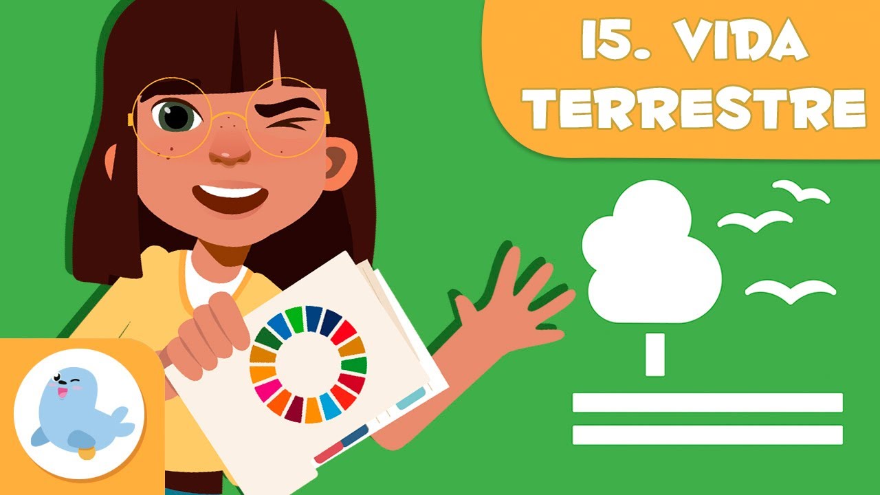 Vida terrestre 🌳 ODS 15 🐻 Objetivos de desenvolvimento sustentável para ...