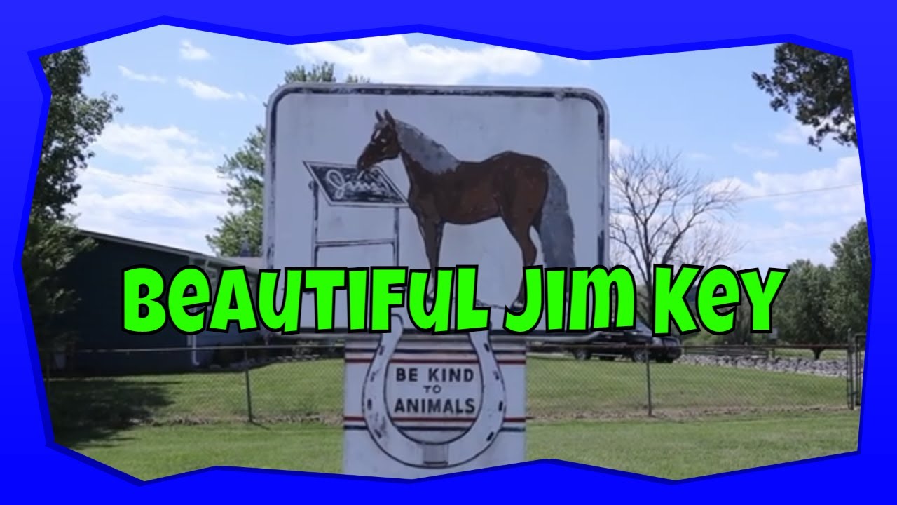 The World's Smartest Horse, Beautiful Jim Key - Jim Key's Grave ...