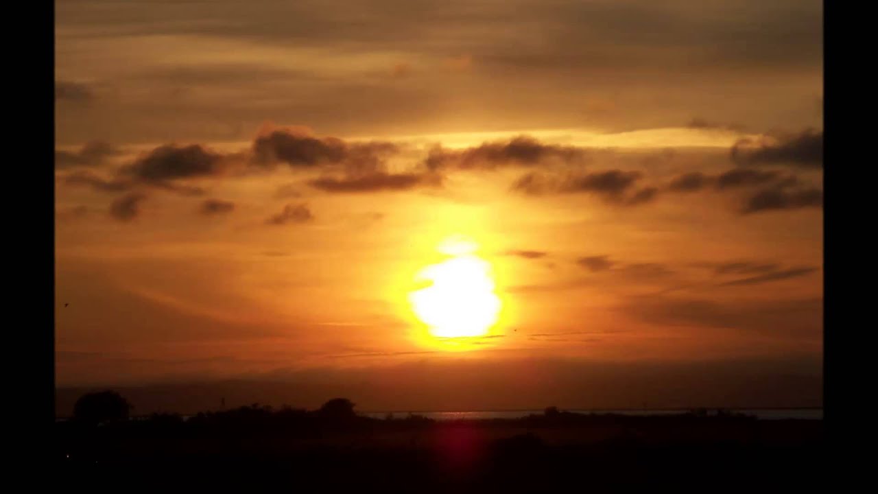 Urchin ~ Nile Rose - YouTube