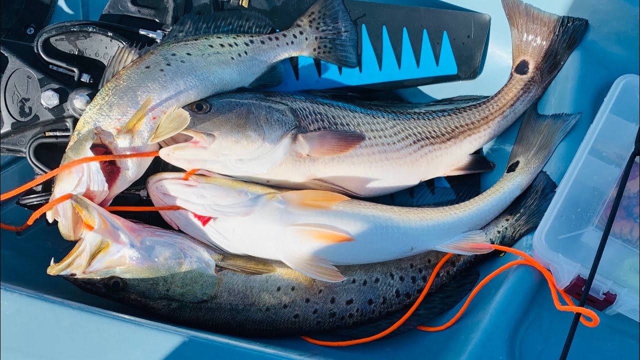 INSHORE KAYAK FISHING! Double up!!!! - YouTube