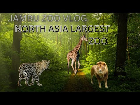 Jammu and Kashmir ||Largest Zoo|| (Jambu Zoo)😱||@officalhalftuber - YouTube