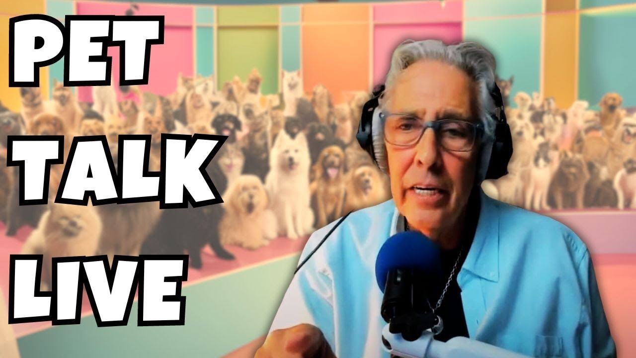 Top Pet Expert Shares LIVE Pet Show Secrets! - YouTube