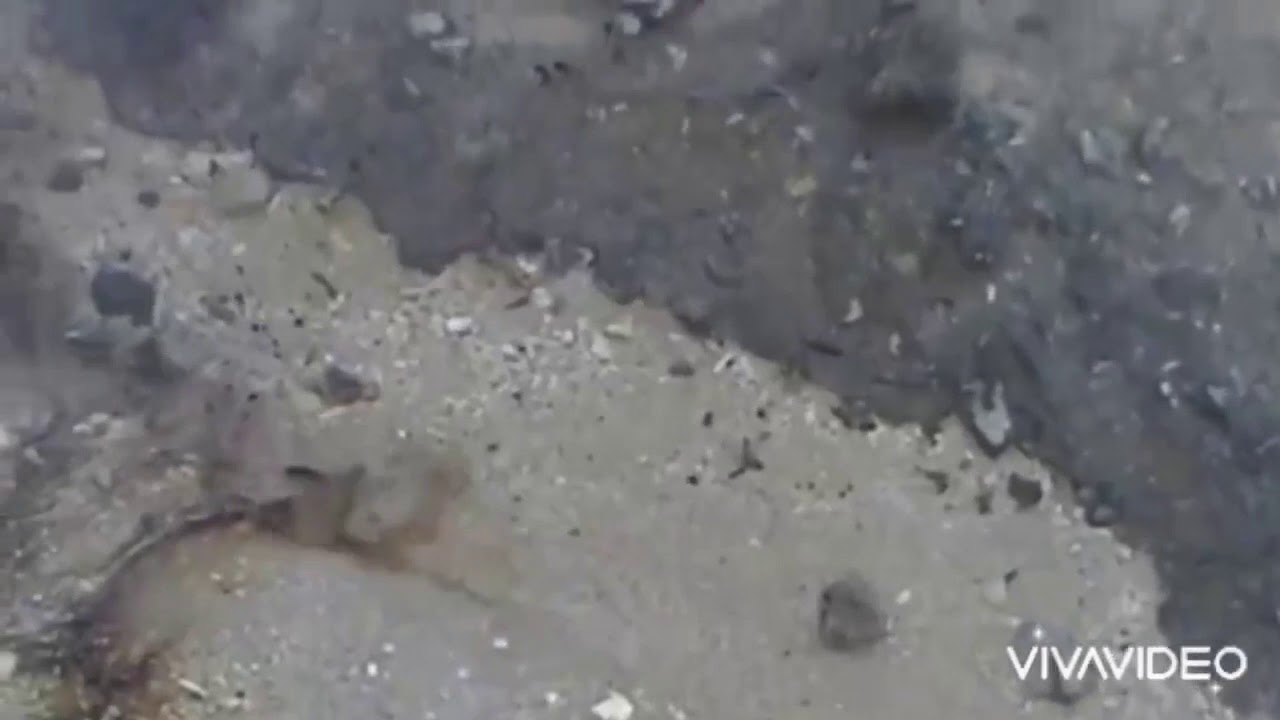 The magic effect of Heavy on bunker C type fuel oil - YouTube